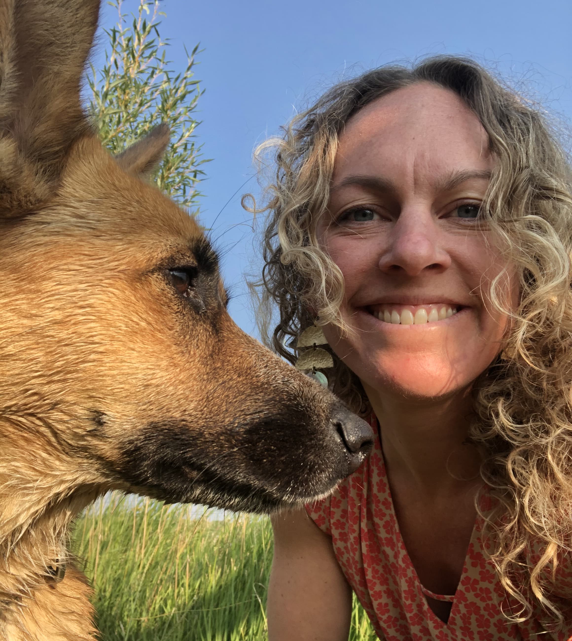 About - Colorado Agricultural Future Loan Program